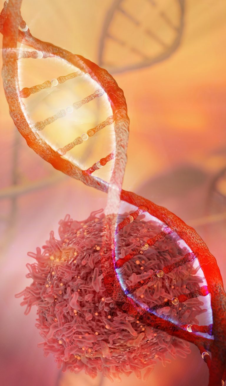 Fazer exames com frequência previne ou não o câncer? Eis a questão.