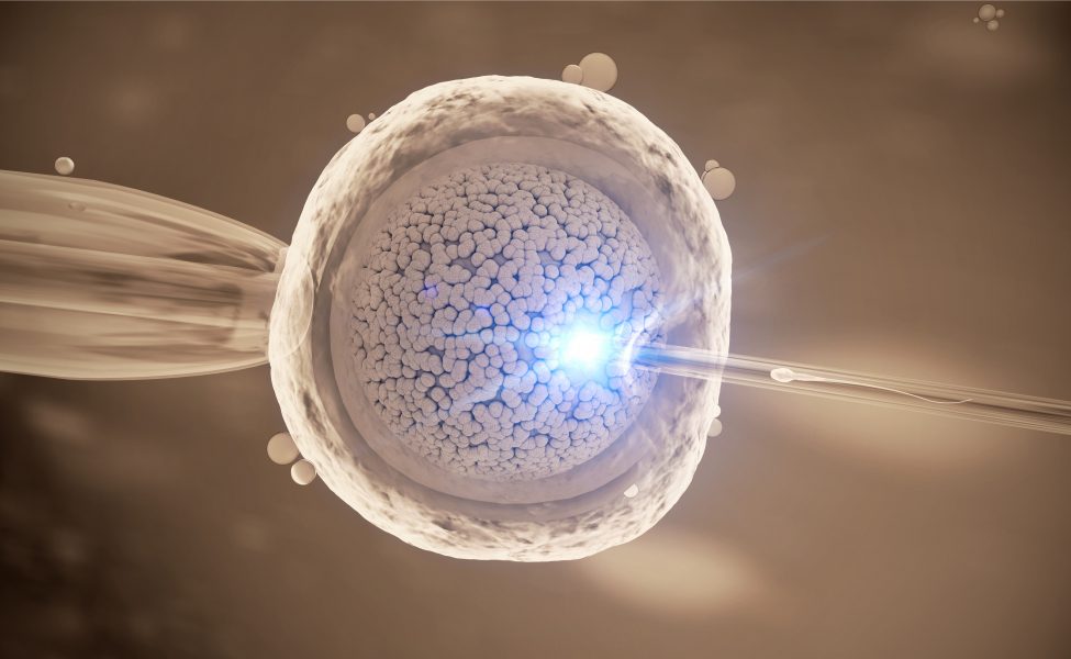 Preservação da fertilidade em pacientes oncológicos - Revista Online ABRALE