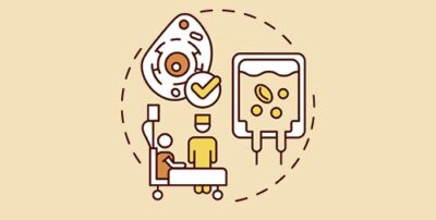 Medula Óssea: funções, doenças e processo de doação - Revista Online ABRALE