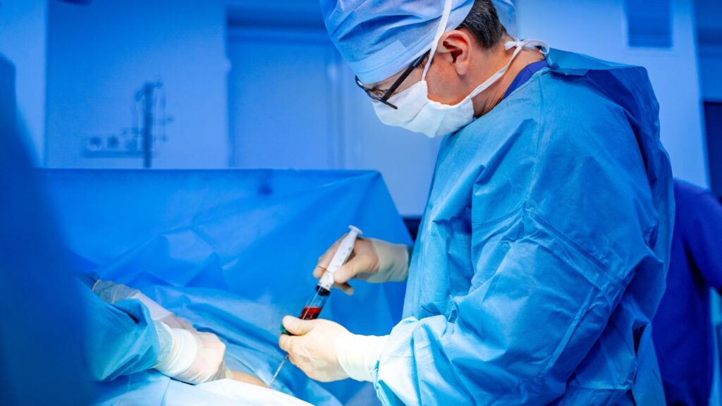 Como anda o Transplante de Medula Óssea (TMO) no Brasil