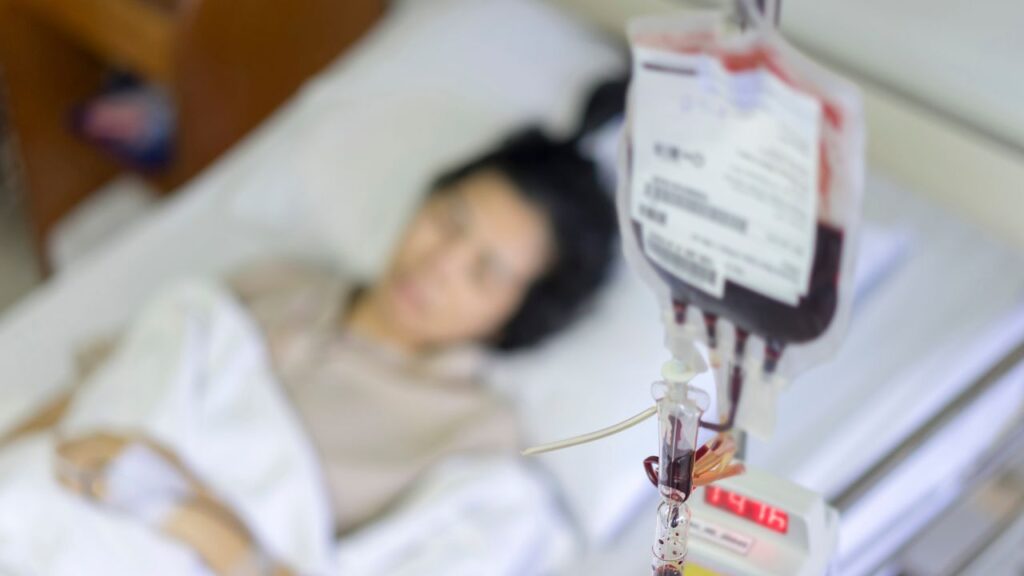 Como é feito o transplante de medula óssea (TMO)